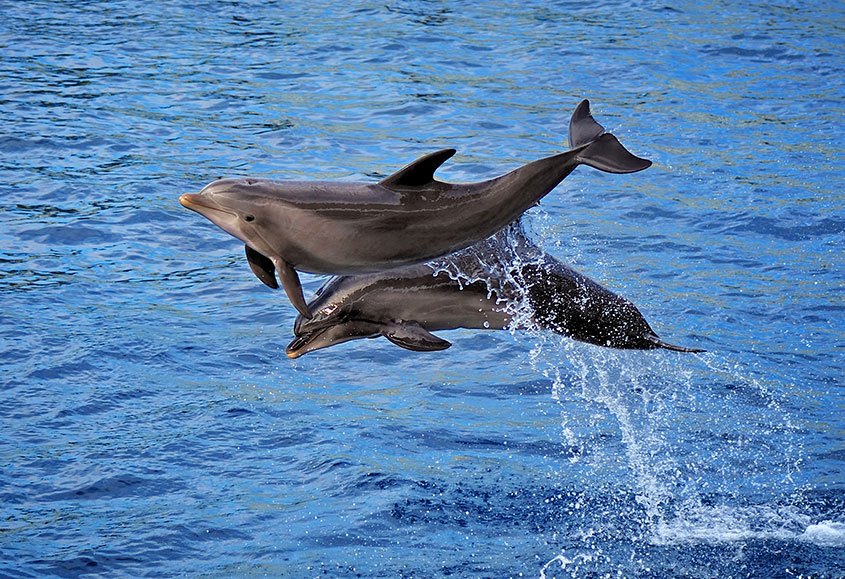 Nungwi Beach Resort | Royal Zanzibar Beach Resort